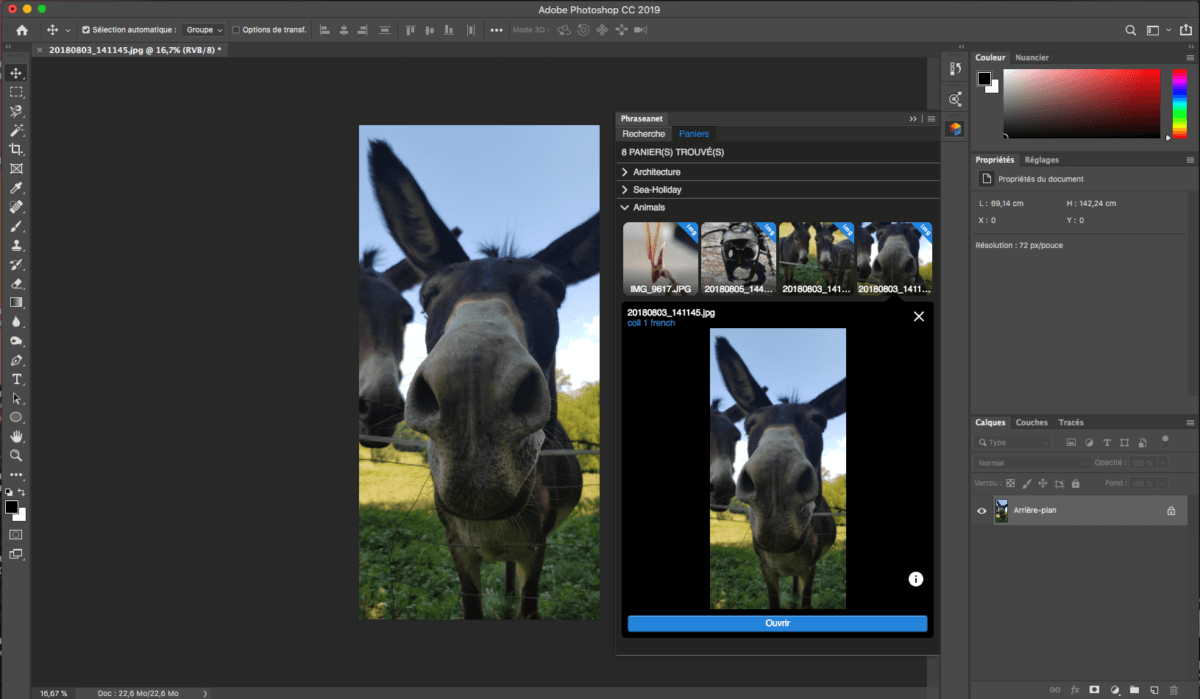 Photoshop Plugin – Alchemy